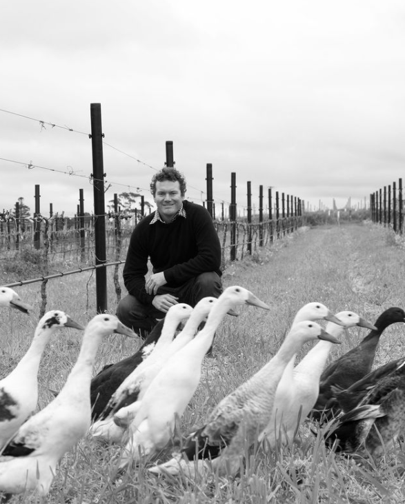 Angove Wines – eBottli